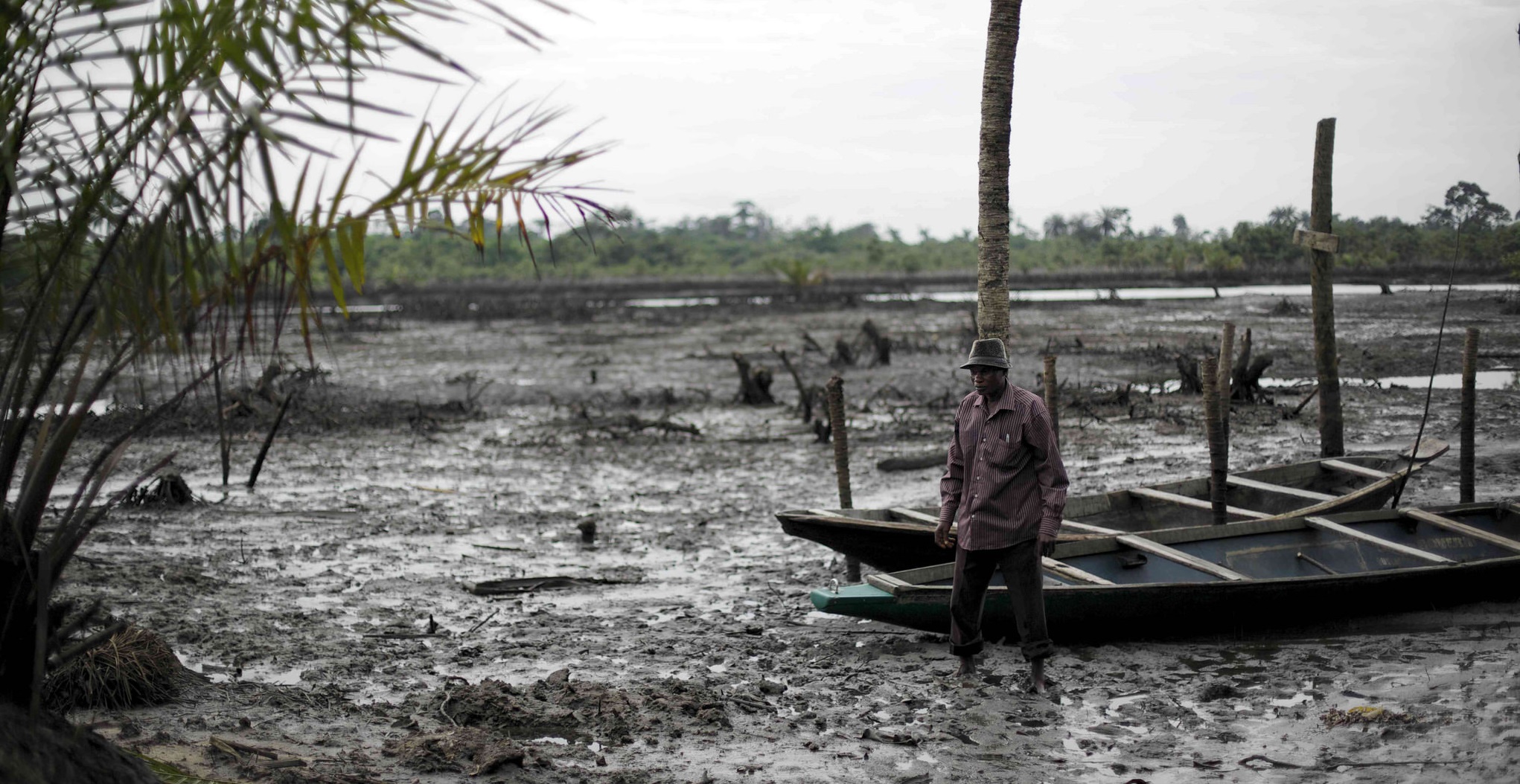 The story of the Ogoni | CODE ROOD